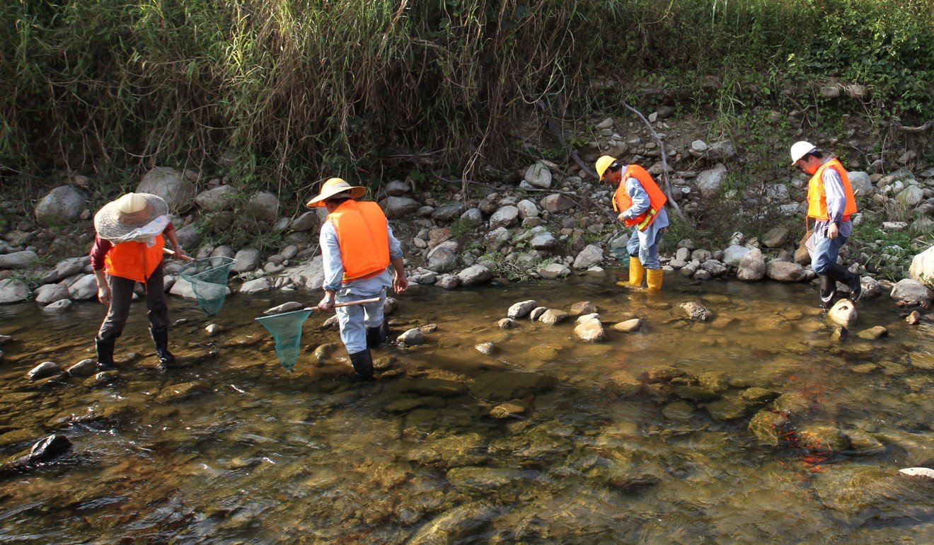 Open up Hong Kong’s rivers and drainage channels to revitalise city ...