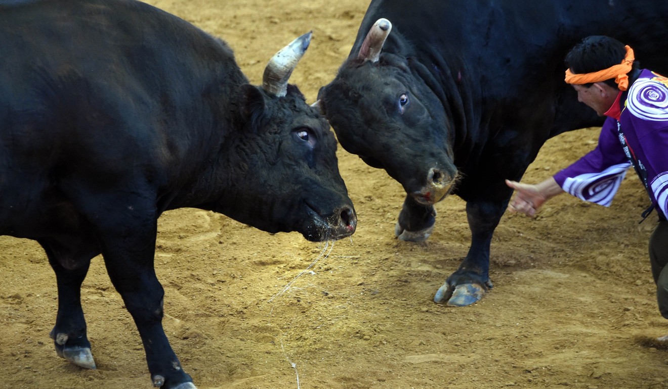 Another #Metoo win? Japan lifts men-only rule from bullfighting | South ...
