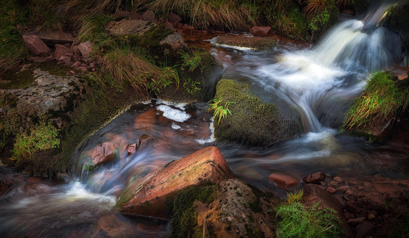 Chocolate cravings? Mindfulness or distraction may help stave off the ...
