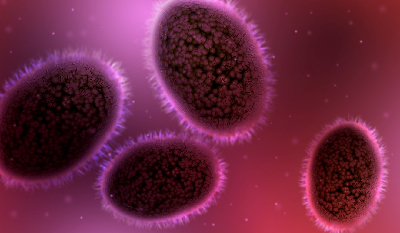 Seven of the most deadly viruses, from Ebola to rabies – hidden killers ...