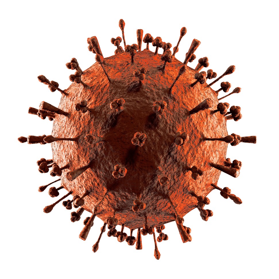 Seven of the most deadly viruses, from Ebola to rabies – hidden killers ...