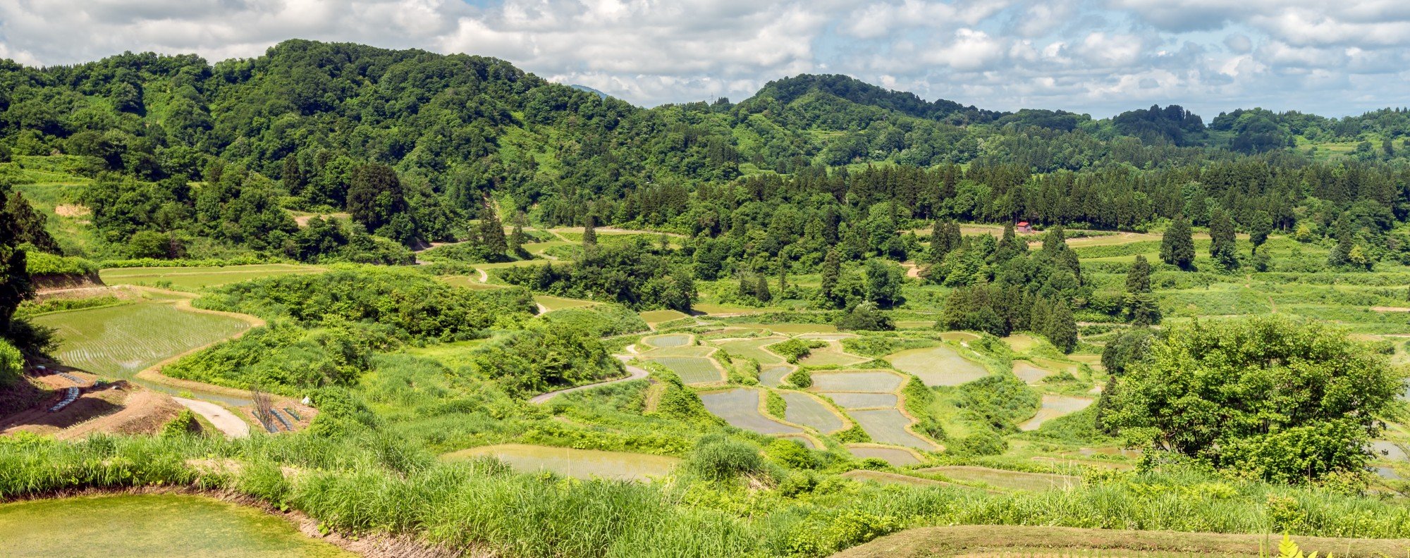 Japan’s Niigata prefecture: a winter wonderland turned summer holiday ...