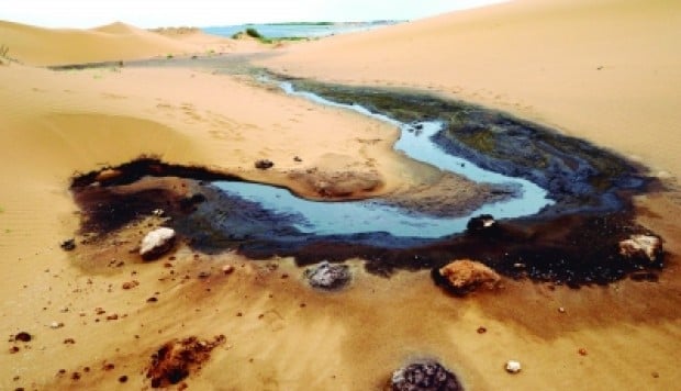 Factory shut down for dumping toxic waste in China's fourth-largest ...