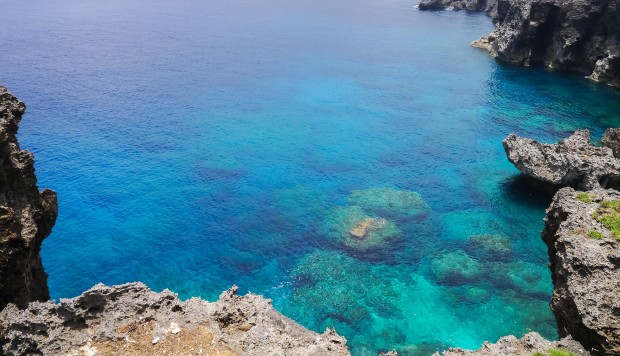 Dive with hammerhead sharks in the crystal-clear waters of Yonaguni ...