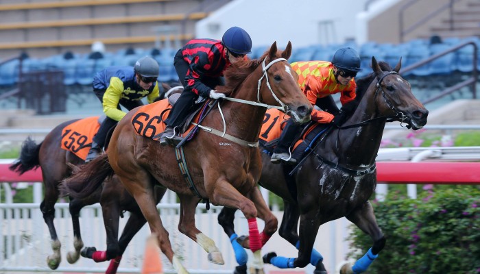 The red and black on the attack as Siu family unearth another 2017 ...
