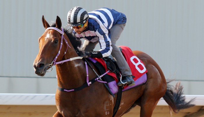 Chris So’s championship chances get a litmus test when talented trio ...