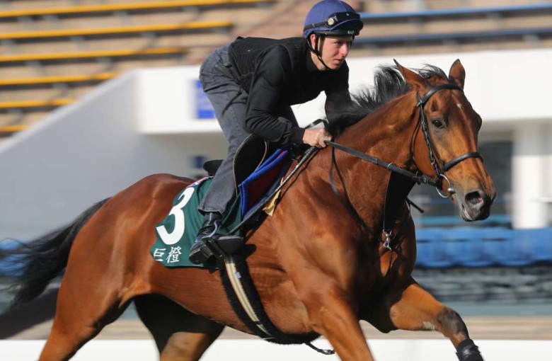 michael bell racing post