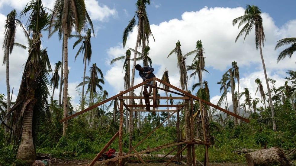 Philippine coconut oil exports fall 35pc after super typhoon Haiyan ...