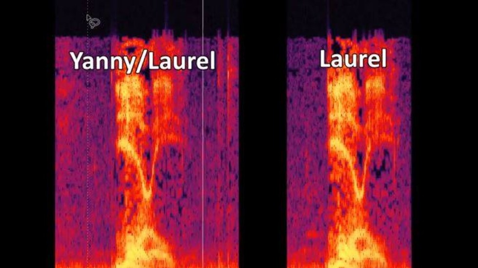 Yanny or Laurel? Auditory illusion sparks meltdown, as internet argues ...