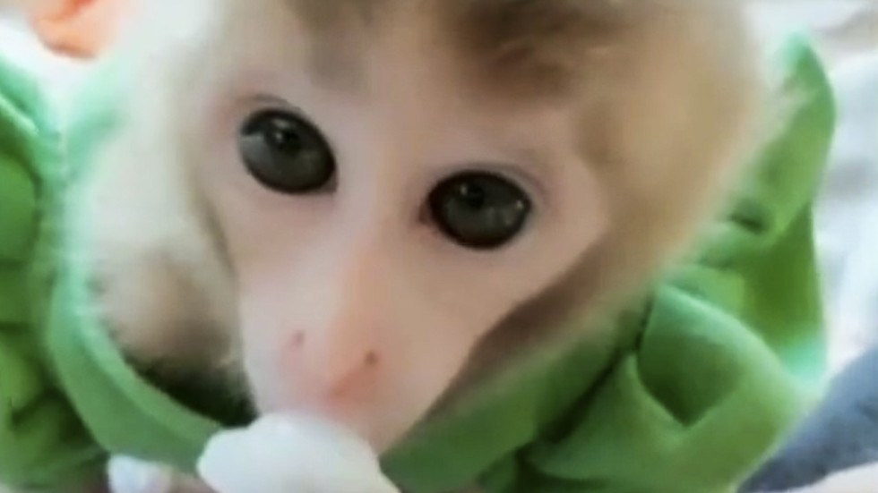 Chinese police arrest 35 people over sale of US$50,000 worth of ...