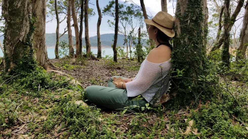 The latest natural therapy: how Japanese forest bathing gets you back ...