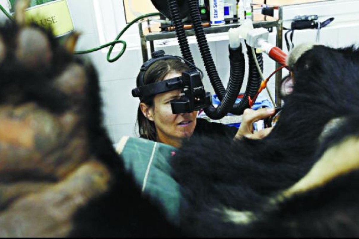 Rattled cages | Post Magazine | South China Morning Post