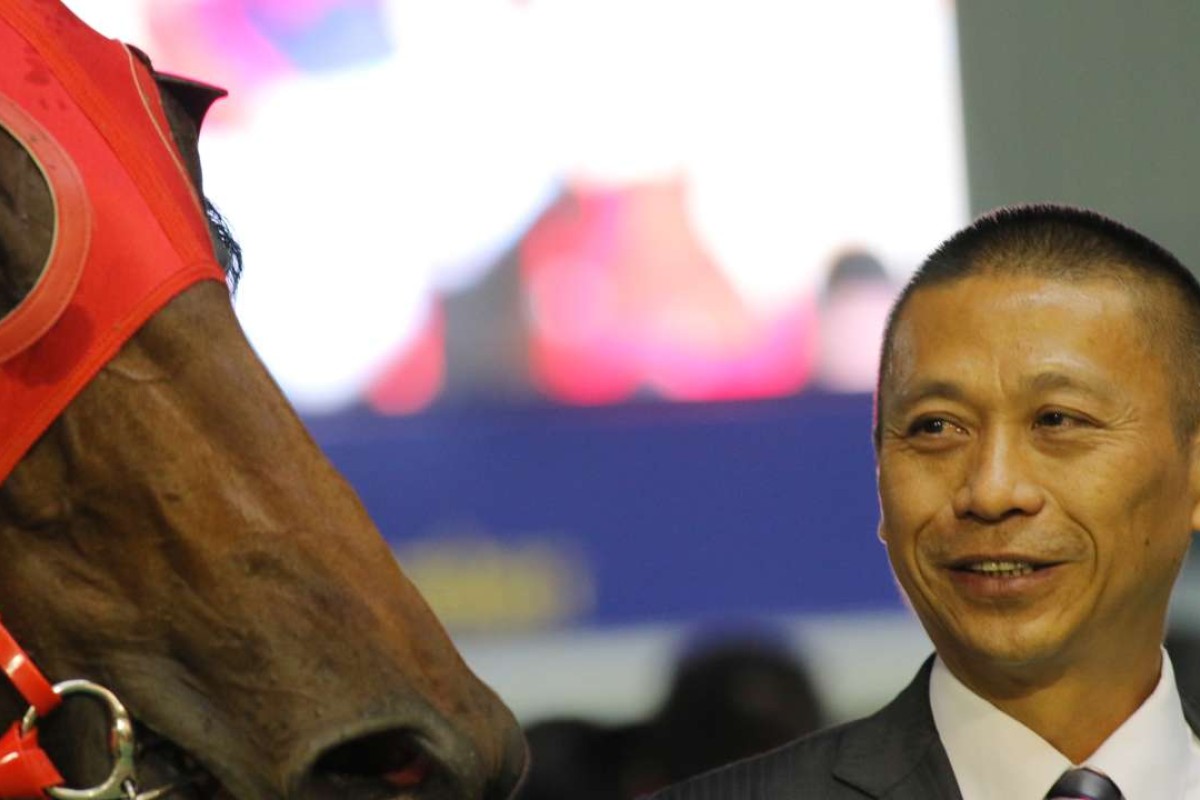 Green Dispatch can provide in-form trainer Danny Shum with another ...