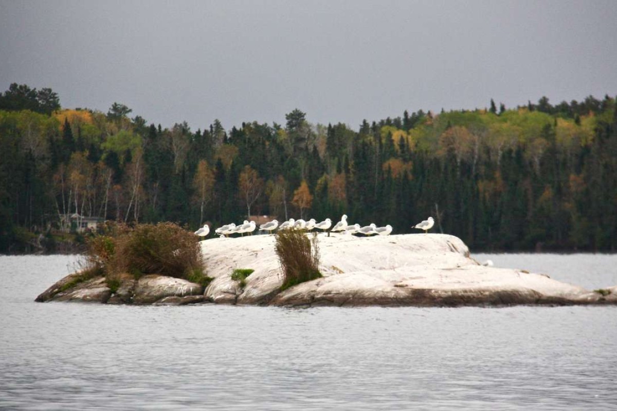 Five days all alone paddling through Canada's wilds | Post Magazine ...