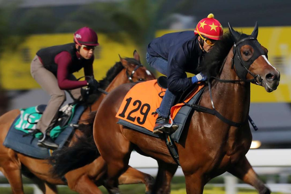 Stayer Helene Charisma can keep the John Moore-athon rolling | HK ...