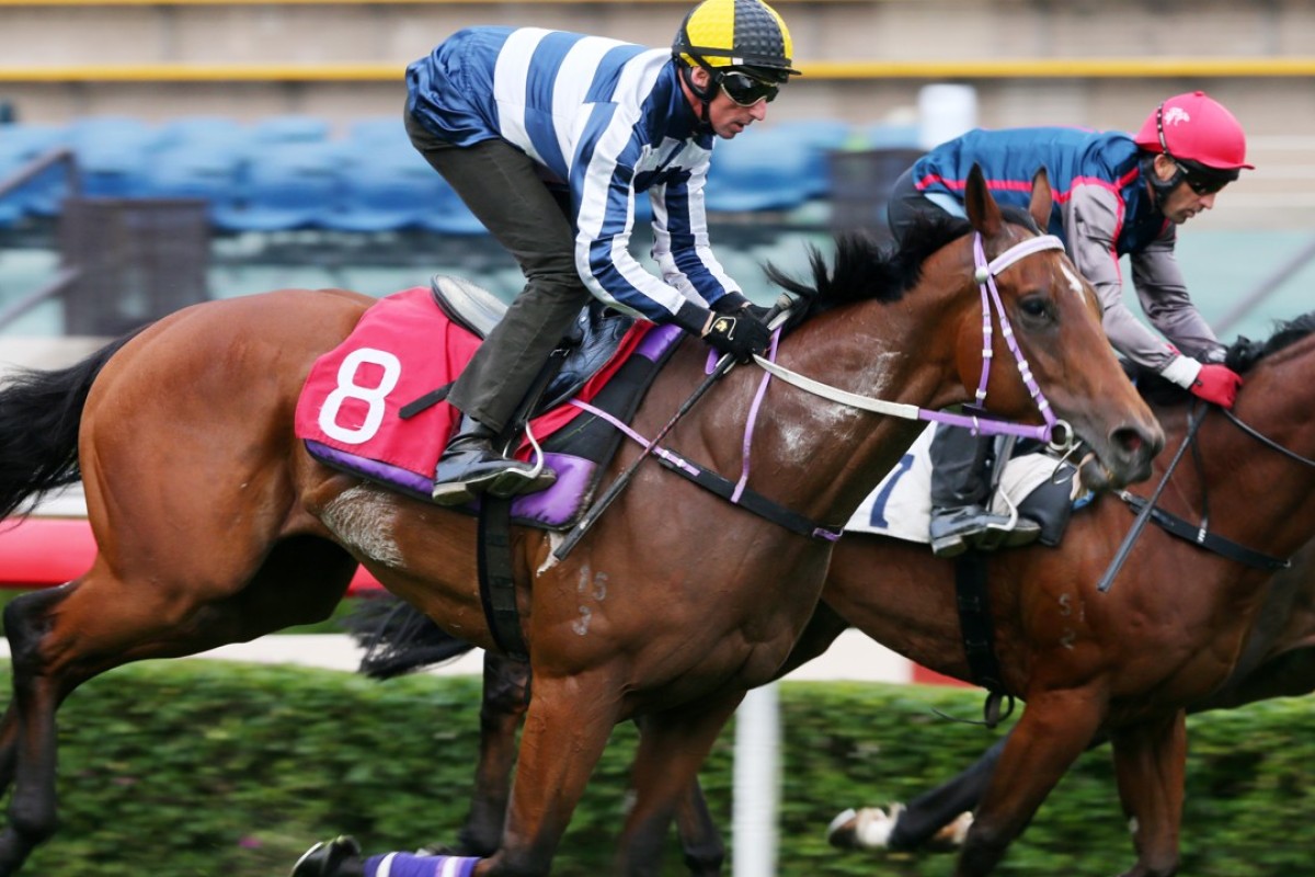 Eighty Eighty the one to beat and could be reasonable odds without ...