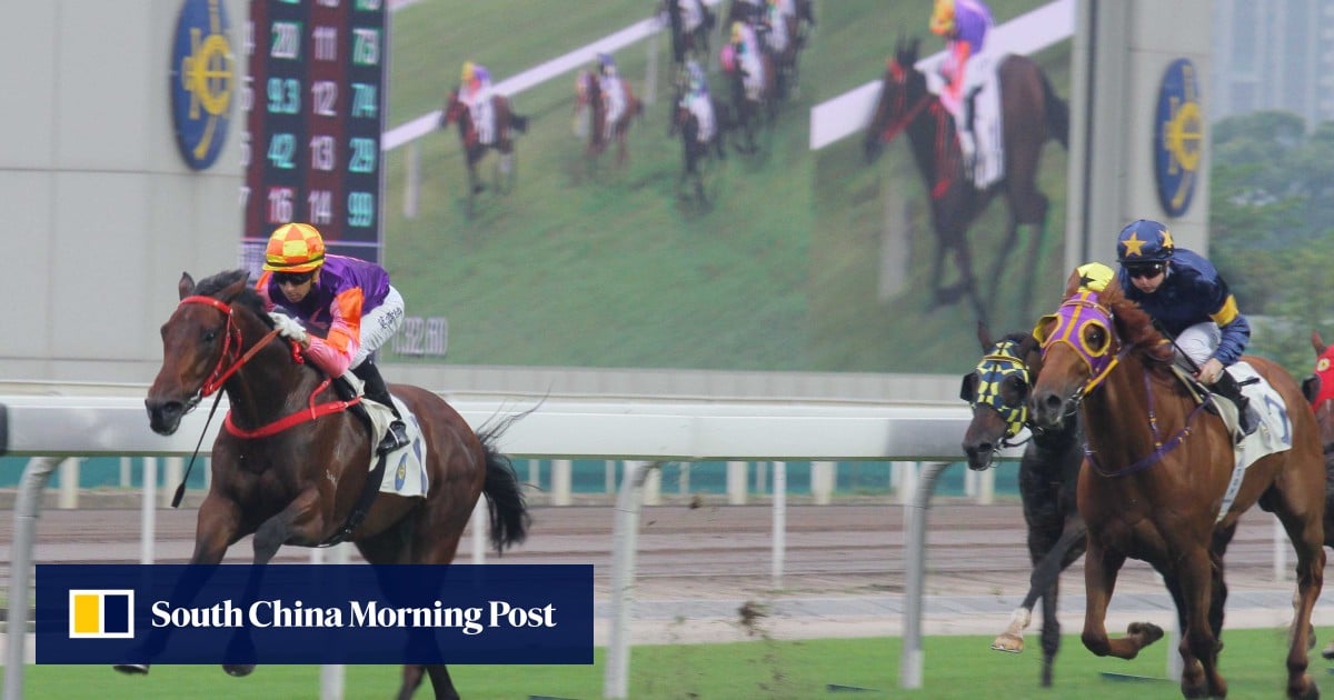 Youngsters stamp credentials for fast finisher Shum | HK Racing | South ...