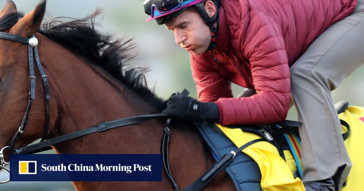 Telling it like it is: Trainer John Moore says Not Listenin’tome has ...