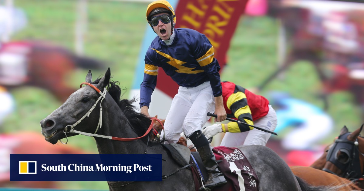 Champions Day on the agenda for Australian horses after quarantine ...