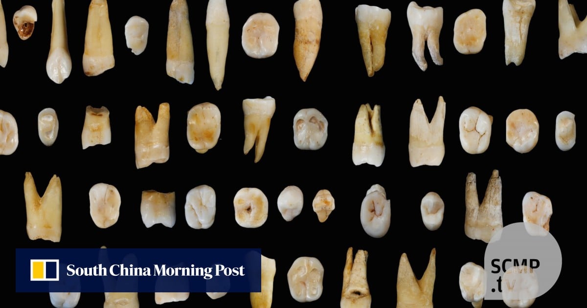 Teeth from Chinese cave recast history | South China Morning Post