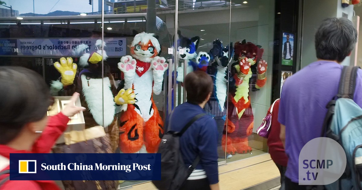 Hong Kong’s ‘furries’ share their passion for animal make believe ...
