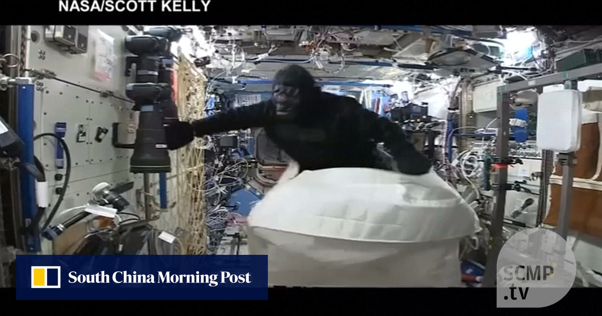 "Ape" in space with NASA | South China Morning Post